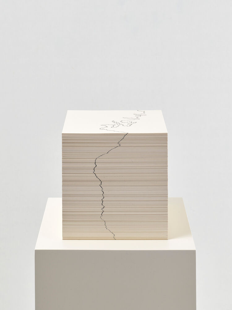 nulla dies sine linea | Katharina Hinsberg